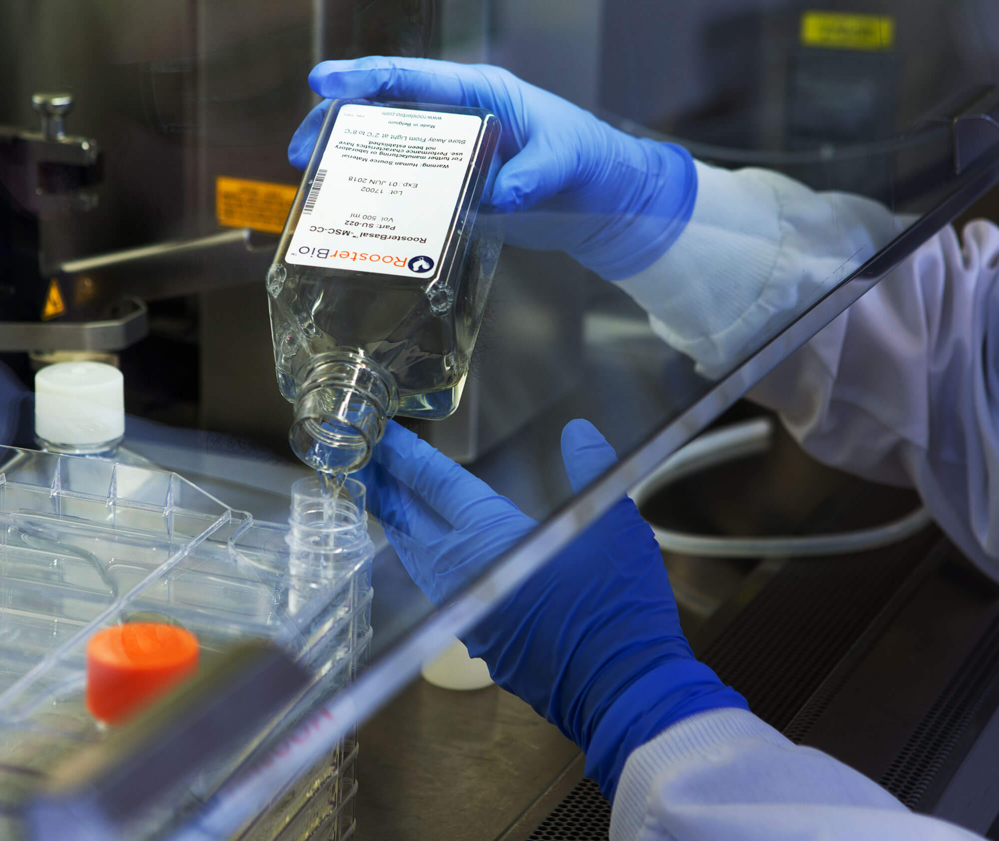 Project Management, Troubleshooting and Photography ⋆ Jeff Behm ...