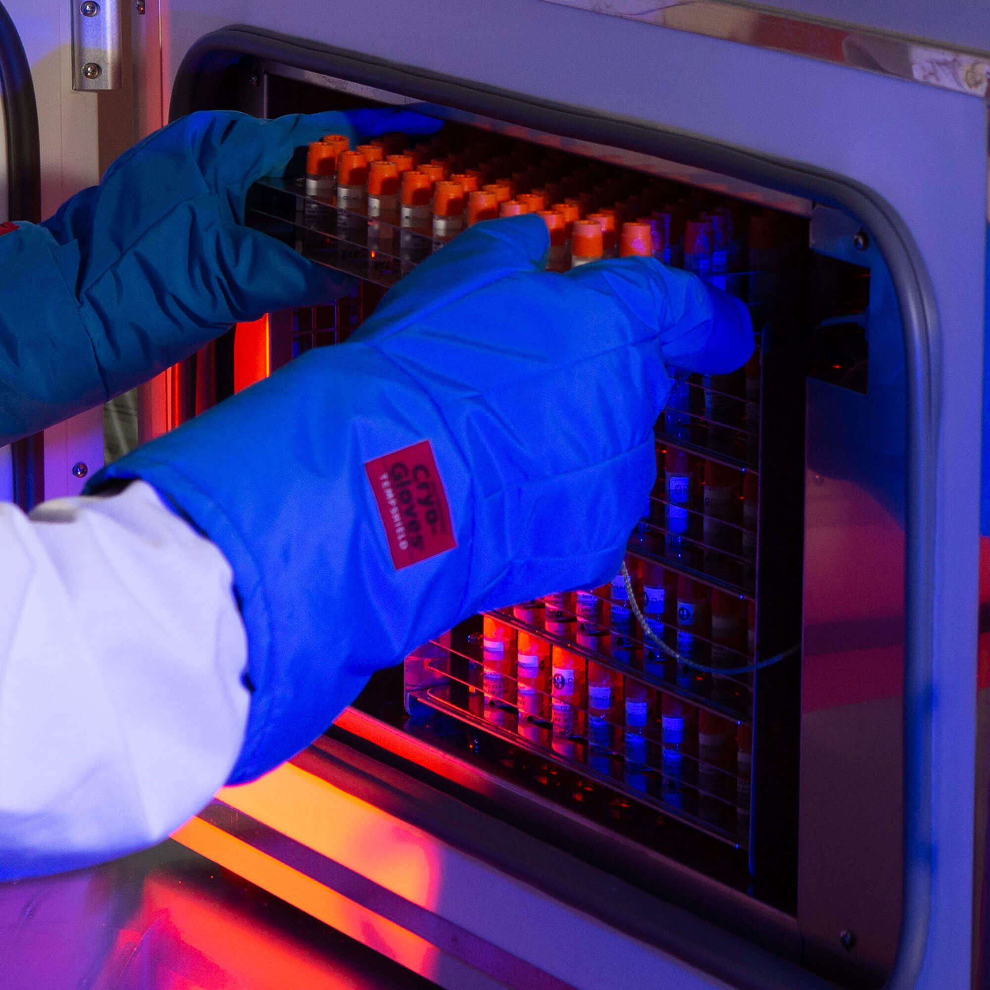 Project Management, Troubleshooting and Photography ⋆ Jeff Behm ...