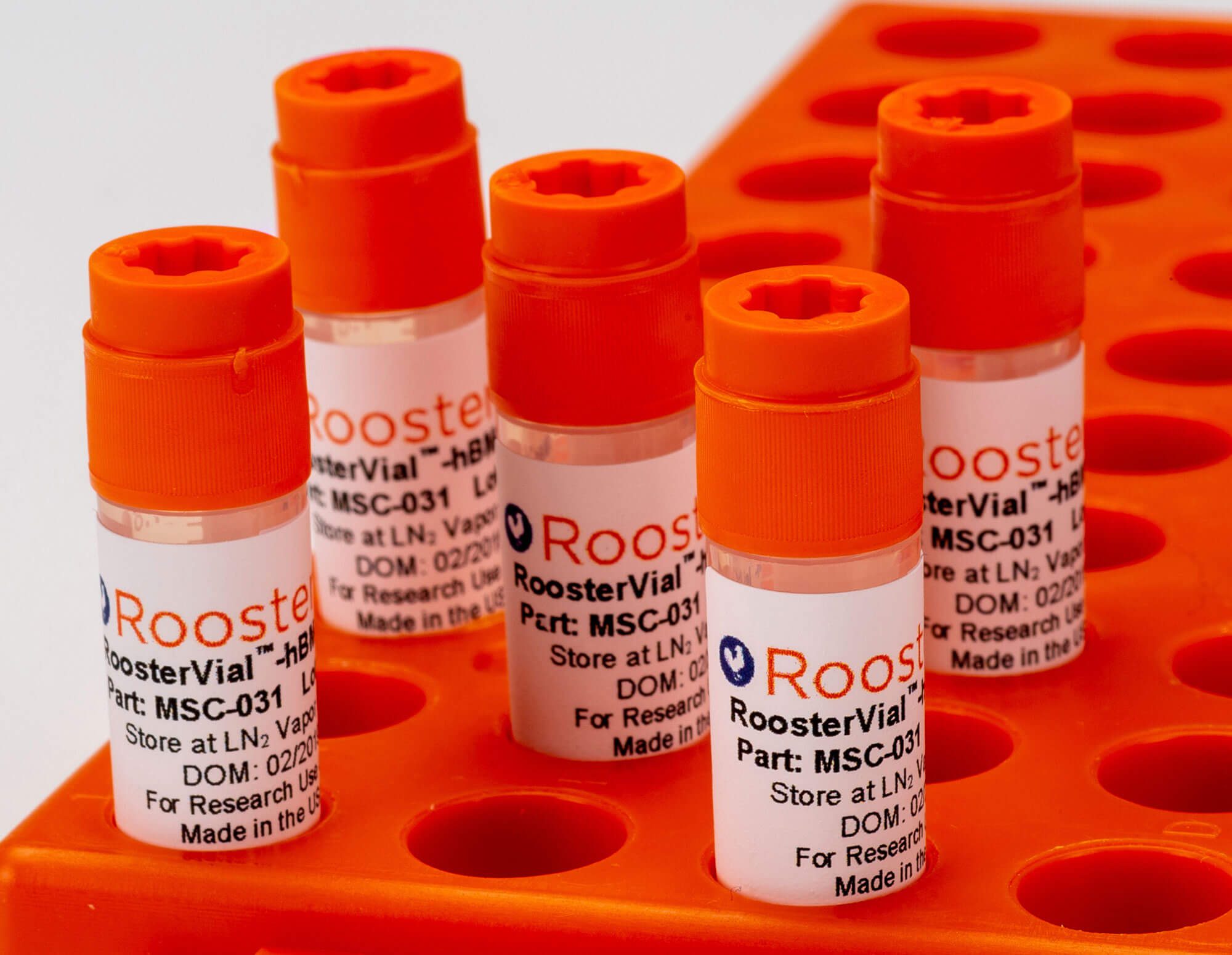 Project Management, Troubleshooting and Photography ⋆ Jeff Behm ...